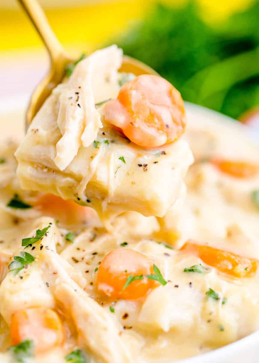 Chicken Dumplings With Tortillas