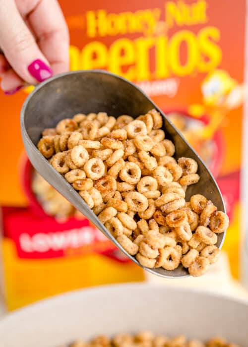 Mini Donut Hot Buttered Cheerios - Sweet Tea and Sprinkles