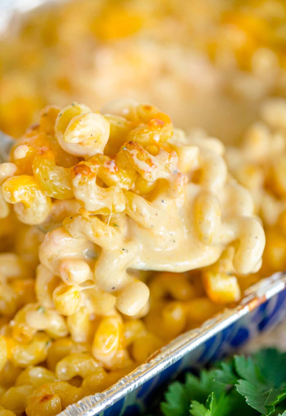 Creamy Baked Mac and Cheese - Sweet Tea and Sprinkles