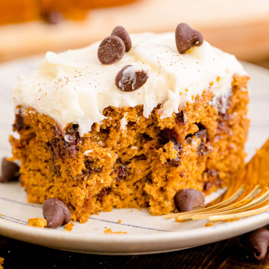 Pumpkin Chocolate Chip Cake - Sweet Tea and Sprinkles